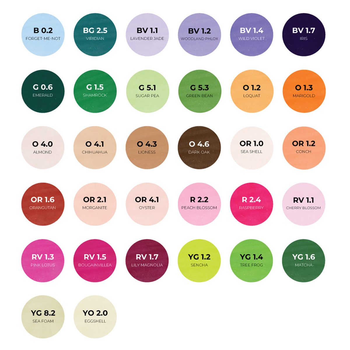 32 New Colors Brush Collection – OLO Marker